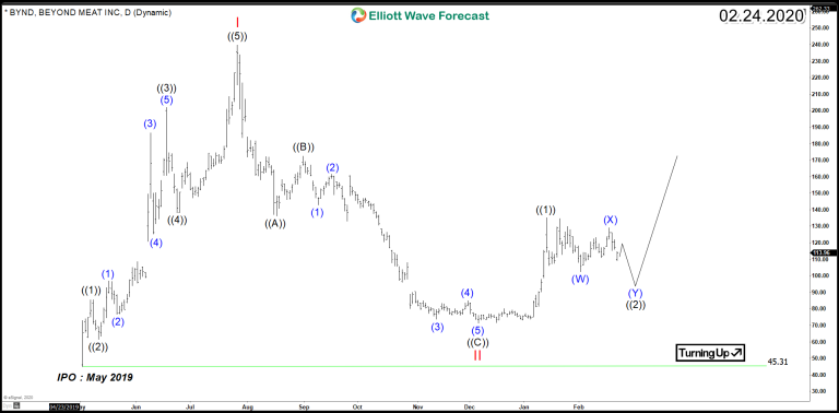 Beyond Meat Inc (NASDAQ: BYND) - Starting an Impulsive Cycle - Elliott ...