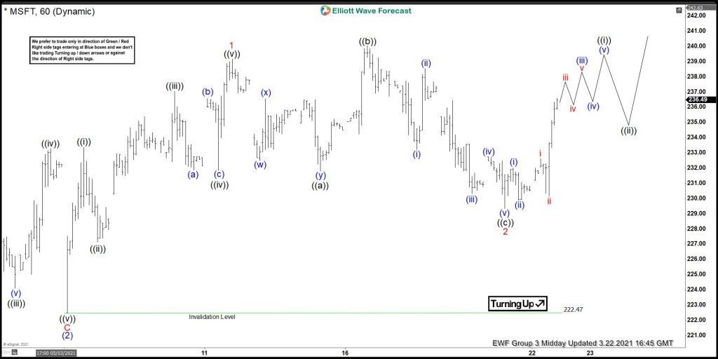 Elliott Wave View: Microsoft (MSFT) Starts New Bullish Cycle