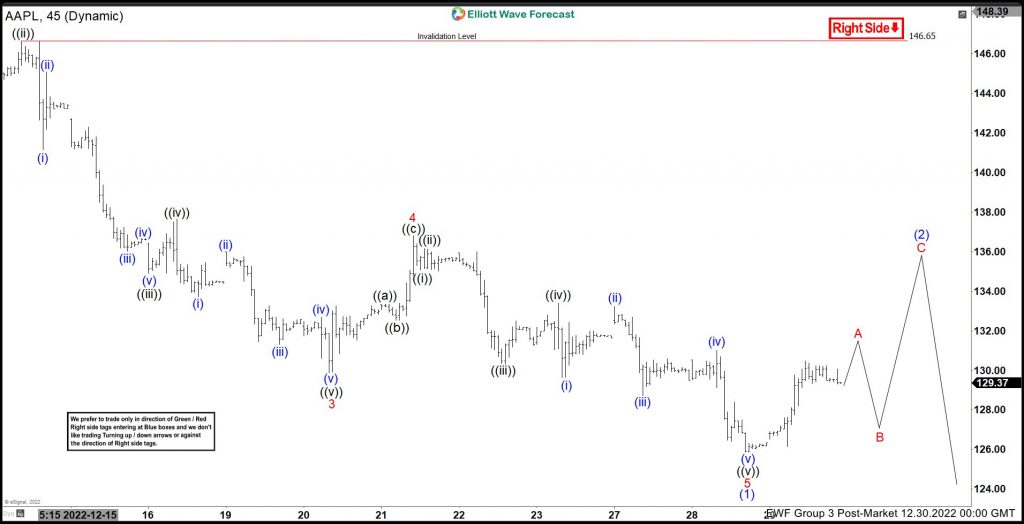 APPLE Inc: Forecasting the reaction lower after wave (2) bounce