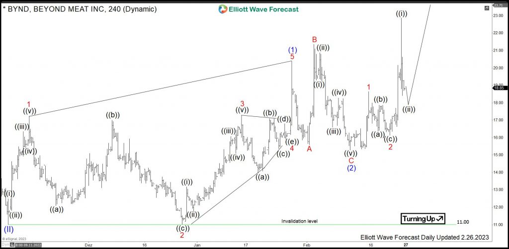 $BYND: Beyond Meat Ready for Next Bullish Cycle