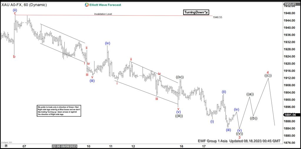 2XAU 6020230818082722 - Elliott Wave Forecast: Elliott Wave Trading ...