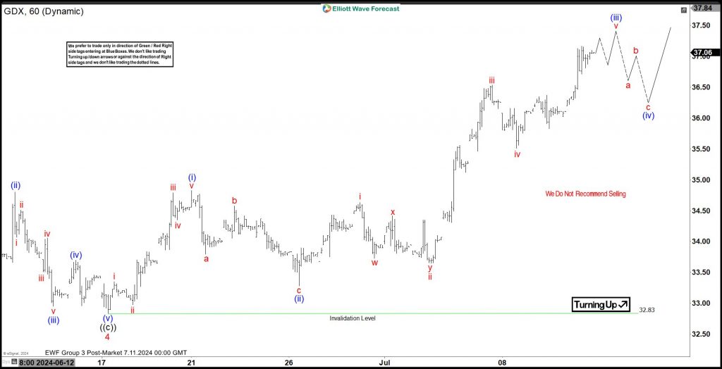 Elliott Wave Expects Gold Miners ETF (GDX) to Continue Rally
