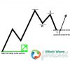 Just Starting with Elliott Wave? This Is Where to Begin
