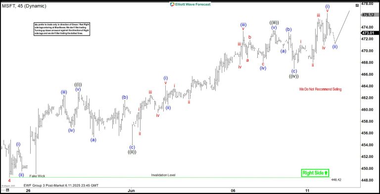 Elliott Wave Outlook: Microsoft (MSFT) Surges to Record High ...