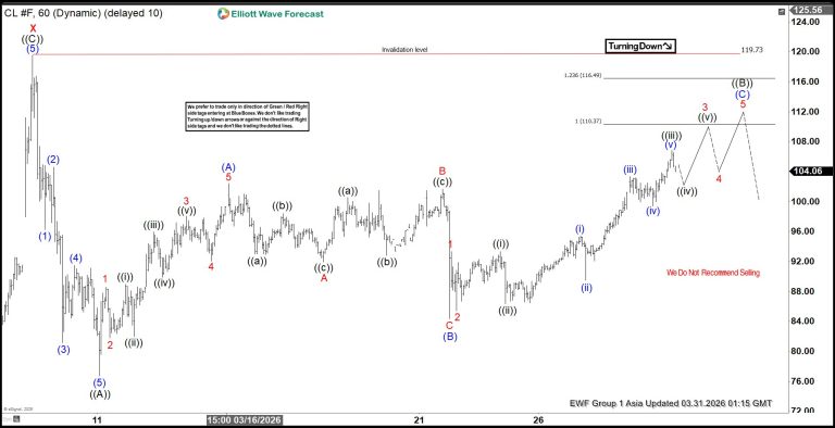 Elliott Wave Outlook: Oil (CL) Zigzag Rally Targets $110 Area - Elliott ...